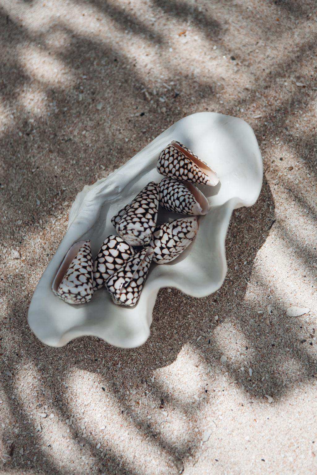 Bohemian holy water shell in resin – Ki Decoration