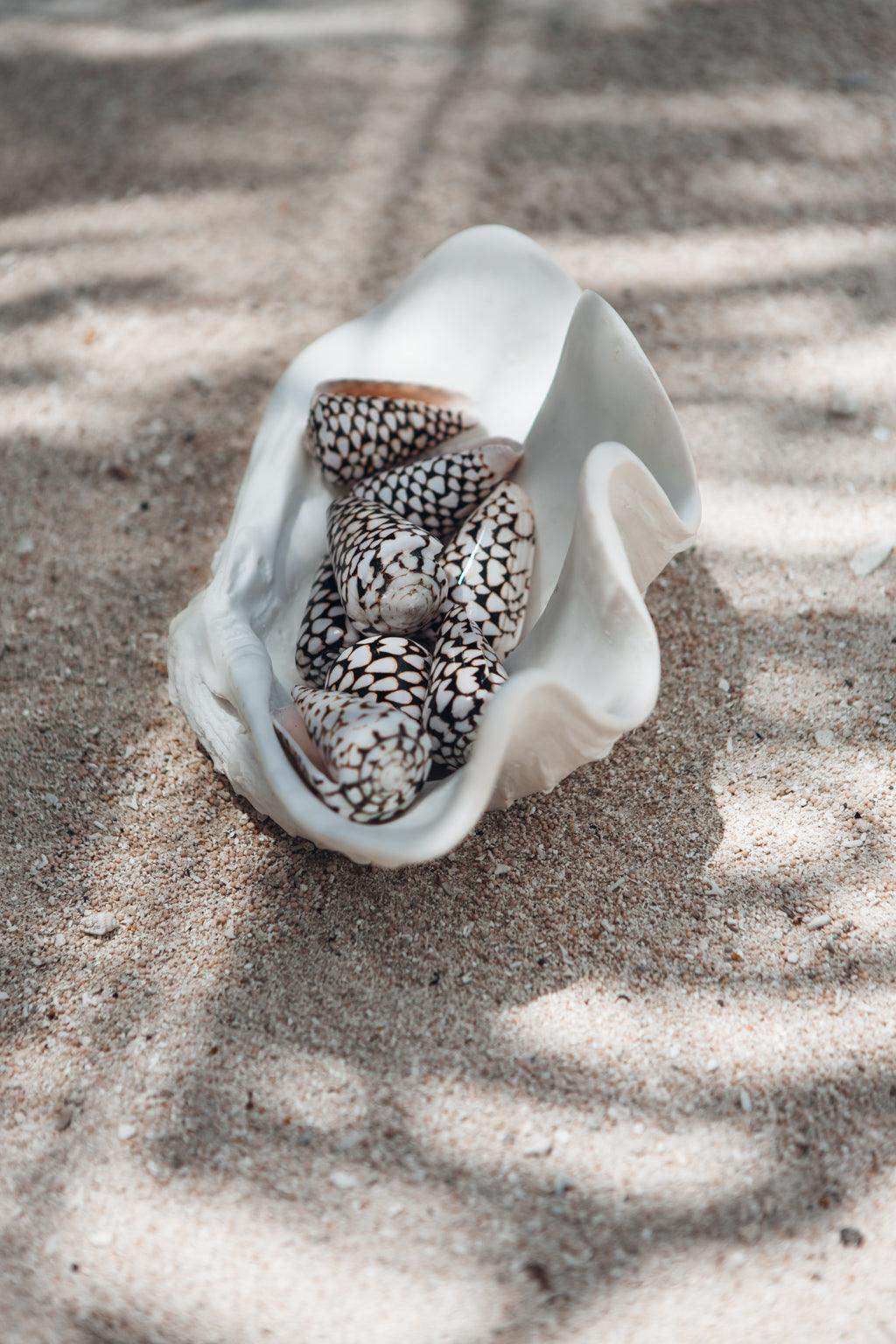 Bohemian holy water shell in resin – Ki Decoration